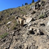 Mount Judah Loop Trail, California - 2,710 Reviews, Map | AllTrails