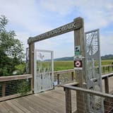 Neabsco Creek Boardwalk, Virginia - 969 Reviews, Map | AllTrails