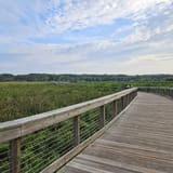 Neabsco Creek Boardwalk, Virginia - 969 Reviews, Map | AllTrails