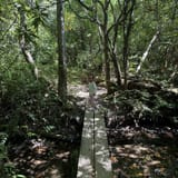 Daniel Ridge Loop, North Carolina - 2,136 Reviews, Map | AllTrails