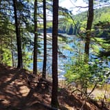 Lower Hadlock Pond Loop Trail, Maine - 618 Reviews, Map | AllTrails