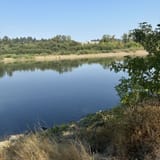 Minto-Brown Island Park, Oregon - 914 Reviews, Map | AllTrails