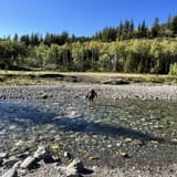 Carnarvon Lake, Alberta, Canada - 781 Reviews, Map | AllTrails