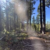 Laurance Lake High Ridge Trail, Oregon - 863 Reviews, Map | AllTrails