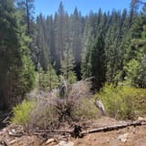 Carlon Falls Trail, California - 1,400 Reviews, Map | AllTrails