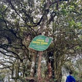 Mount Nuang, Selangor, Malaysia - 243 Reviews, Map | AllTrails