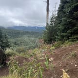 Bald Mountain from Lolo Pass Trail, Oregon - 2,159 Reviews, Map | AllTrails