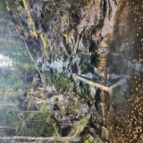 Mount Jackson and Mount Webster Trail Loop, New Hampshire - 2,460 ...