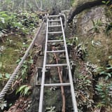 Mount Santubong, Sarawak, Malaysia - 74 Reviews, Map | AllTrails