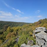 Wolf Rocks Trail, Pennsylvania - 1,567 Reviews, Map | AllTrails