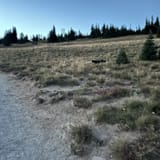 Berkeley Park Trail, Washington - 395 Reviews, Map | AllTrails