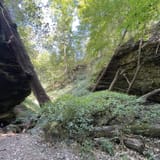 6 Ravine Challenge, Indiana - 1,163 Reviews, Map | AllTrails