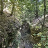 6 Ravine Challenge, Indiana - 1,163 Reviews, Map | AllTrails