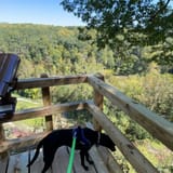 6 Ravine Challenge, Indiana - 1,163 Reviews, Map | AllTrails