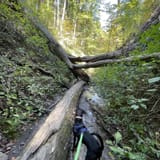 6 Ravine Challenge, Indiana - 1,163 Reviews, Map | AllTrails