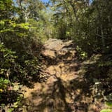 High Rocks Trail, Virginia - 536 Reviews, Map | AllTrails