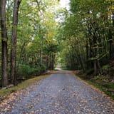 Pulpit Rock and Pinnacle Loop, Pennsylvania - 3,857 Reviews, Map ...