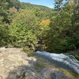 Roaring Run Trail, Virginia - 890 Reviews, Map | AllTrails
