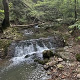 Roaring Run Trail, Virginia - 890 Reviews, Map | AllTrails