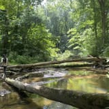 Aman Park Loop, Michigan - 1,677 Reviews, Map | AllTrails