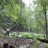 Aman Park Loop, Michigan - 1,677 Reviews, Map | AllTrails