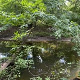 Aman Park Loop, Michigan - 1,677 Reviews, Map | AllTrails