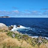Middle Head Trail, Nova Scotia, Canada - 1,798 Reviews, Map | AllTrails