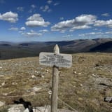 Alpine Ridge Trail, Colorado - 1,305 Reviews, Map | AllTrails
