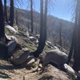 Ralston Peak, California - 1,685 Reviews, Map | AllTrails