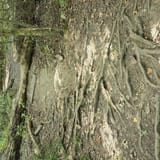 Core Creek Park Trail, Pennsylvania - 1,660 Reviews, Map | AllTrails