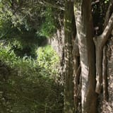Core Creek Park Trail, Pennsylvania - 1,660 Reviews, Map | AllTrails