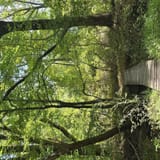 Core Creek Park Trail, Pennsylvania - 1,660 Reviews, Map | AllTrails