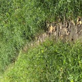 Core Creek Park Trail, Pennsylvania - 1,660 Reviews, Map | AllTrails