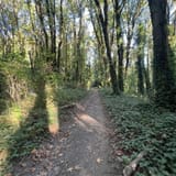 Tryon Creek Triple Bridge Loop, Oregon - 1,840 Reviews, Map | AllTrails