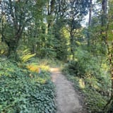 Tryon Creek Triple Bridge Loop, Oregon - 1,881 Reviews, Map | AllTrails