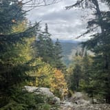 Beaver Brook Trail to Mount Moosilauke, New Hampshire - 1,401 Reviews ...