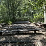 Jones Bridge Trail , Georgia - 3,487 Reviews, Map | AllTrails