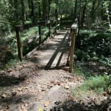 Jones Bridge Trail , Georgia - 3,487 Reviews, Map | AllTrails