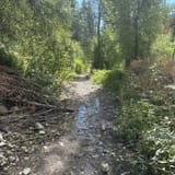 Storm King Mountain Memorial Trail, Colorado - 652 Reviews, Map | AllTrails