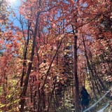 Armstrong Trail to Dawns Trail Loop, Utah - 3,310 Reviews, Map | AllTrails