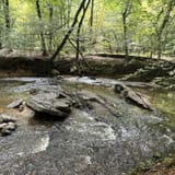 Sycamore Trail Loop, North Carolina - 1,842 Reviews, Map | AllTrails