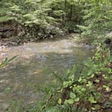Sycamore Trail Loop, North Carolina - 1,842 Reviews, Map | AllTrails