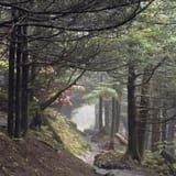 Mount Buckley via Kuwohi Bypass Trail, North Carolina - 1,235 Reviews ...