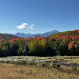 Cascade Springs Interpretive Trail, Utah - 531 Reviews, Map | AllTrails