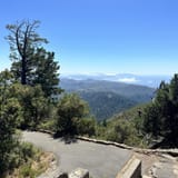 Verna Dunshee Trail and Plank Trail at Mount Tam East Peak, California ...