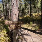 Crow Peak Trail, South Dakota - 980 Reviews, Map | AllTrails