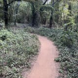 Lake Grapevine Horseshoe Trail, Texas - 2,249 Reviews, Map | AllTrails