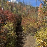 Armstrong Trail to Dawns Trail Loop, Utah - 3,304 Reviews, Map | AllTrails