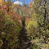 Armstrong Trail to Dawns Trail Loop, Utah - 3,310 Reviews, Map | AllTrails