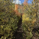Armstrong Trail to Dawns Trail Loop, Utah - 3,304 Reviews, Map | AllTrails